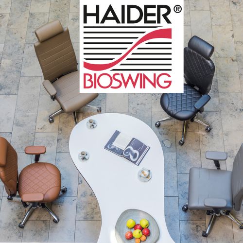 Haider Bioswing Stuhl kaufen | gesundes-sitzen24.de